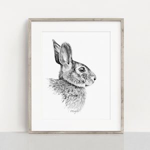 Rabbit Deer Fox Pheasant Wall Art PRINT Set of 4, Pencil Drawing ...