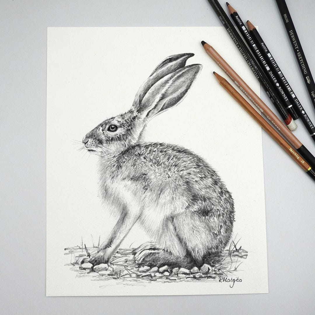 ORIGINAL Hare Pencil Drawing, Wild Rabbit Wall Art, Nature Woodland ...