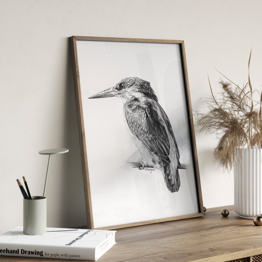 Kingfisher Art PRINT, Pencil Drawing Wall Art, Nature Decor, Fishing ...
