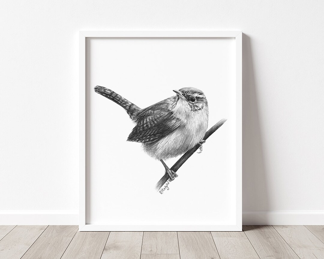 PRINTABLE Wren Art Print Wren Pencil Drawing Wall Art Garden - Etsy