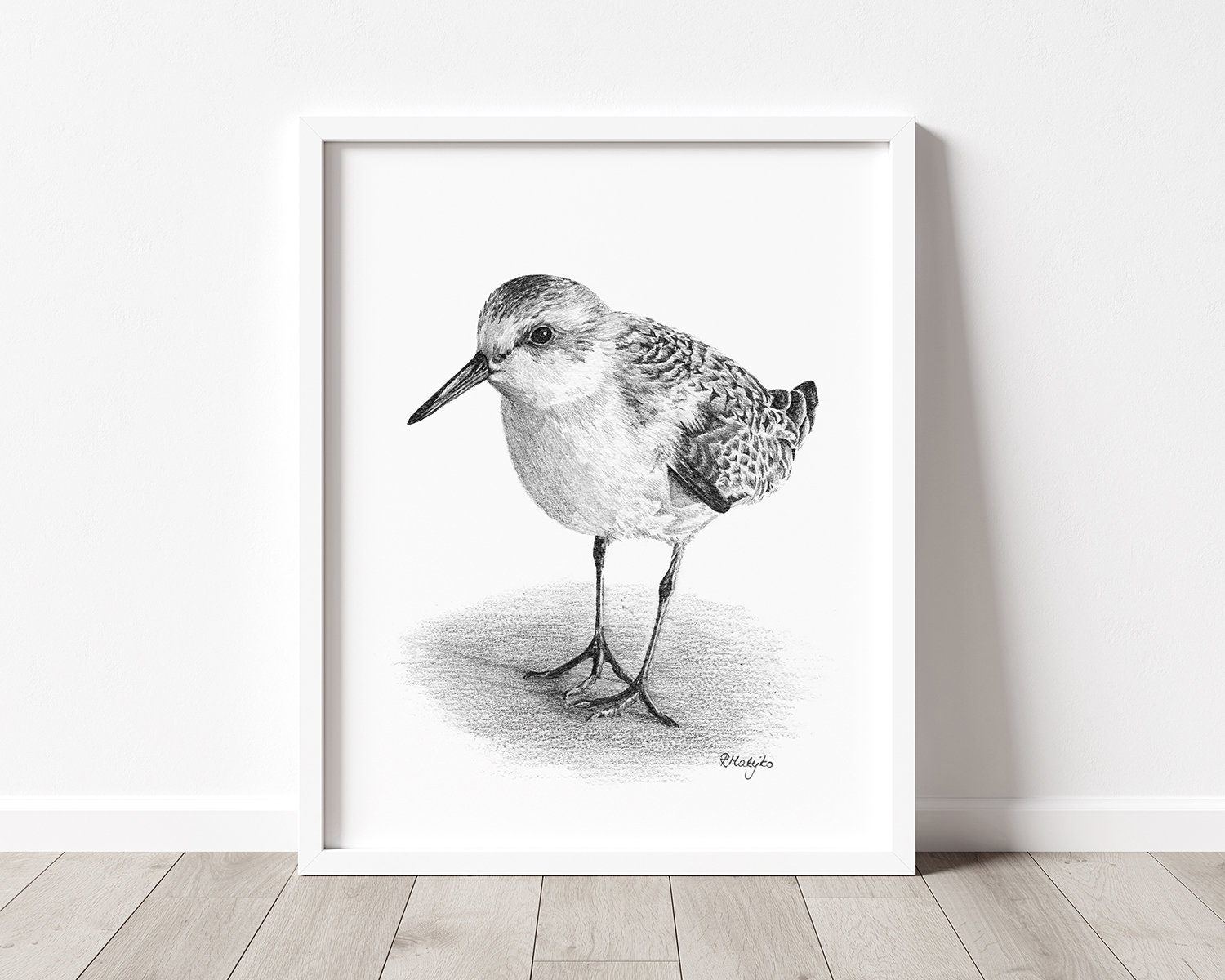 PRINTABLE Sanderling Art Print, Sandpiper Pencil Drawing Wall Art ...