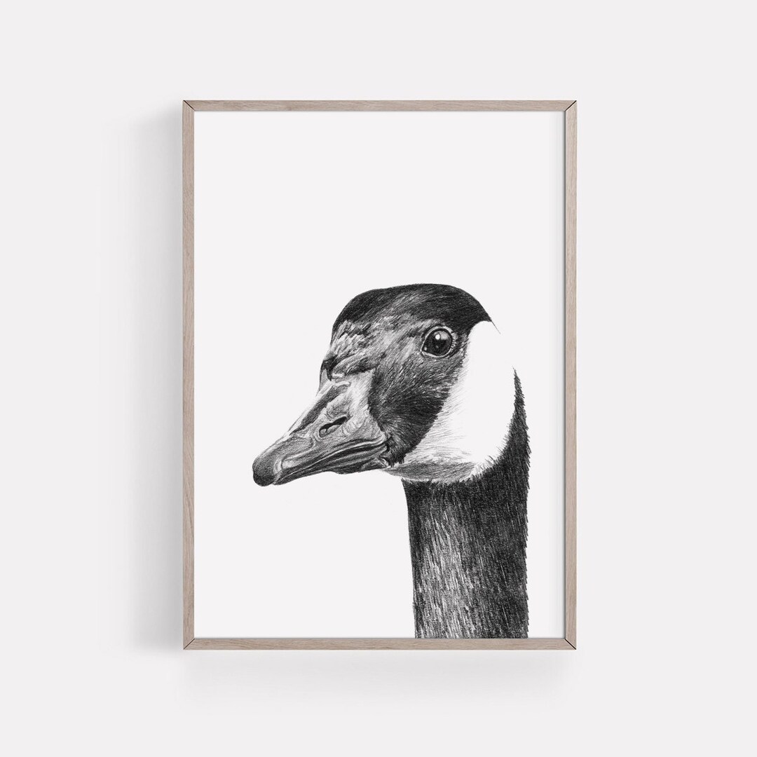 Goose Art PRINT, Wild Goose Pencil Drawing Wall Art, Water Birds Art ...