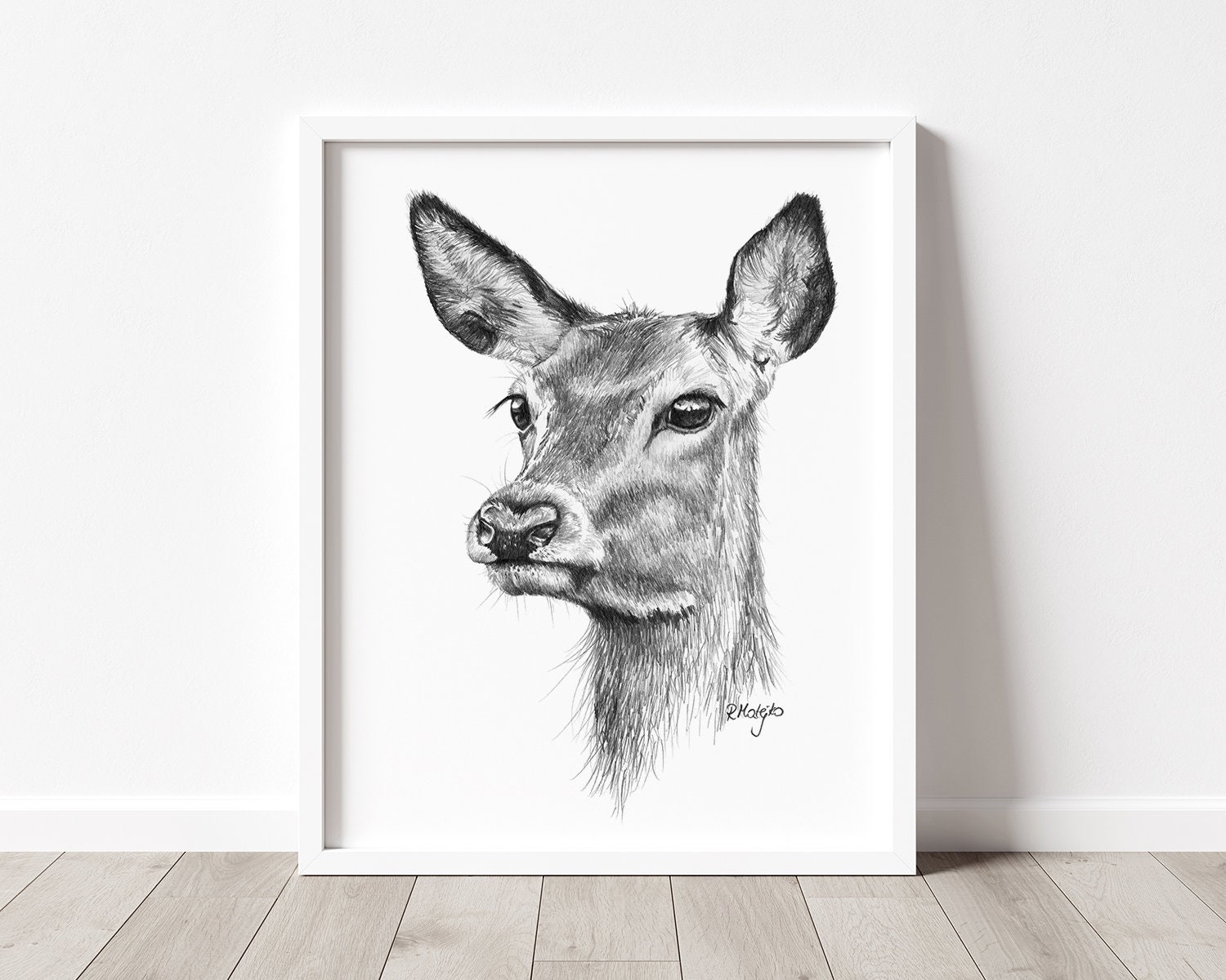 Doe Deer Face Drawing