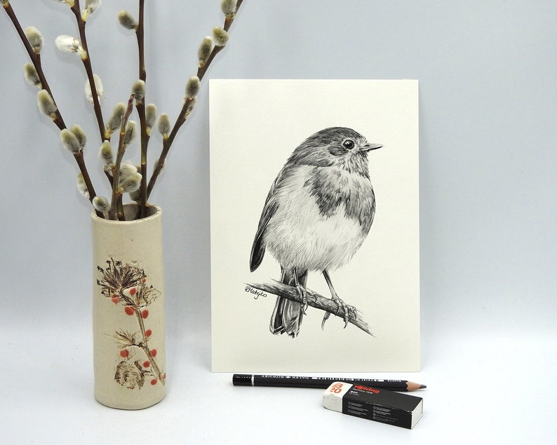 ORIGINAL Robin Pencil Drawing Robin Redbreast Bird Wall Art - Etsy