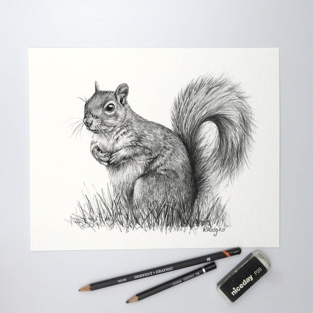 ORIGINAL Squirrel Pencil Drawing, Squirrel Wall Art, Nature Woodland Animal Decor, Unique Gift ...