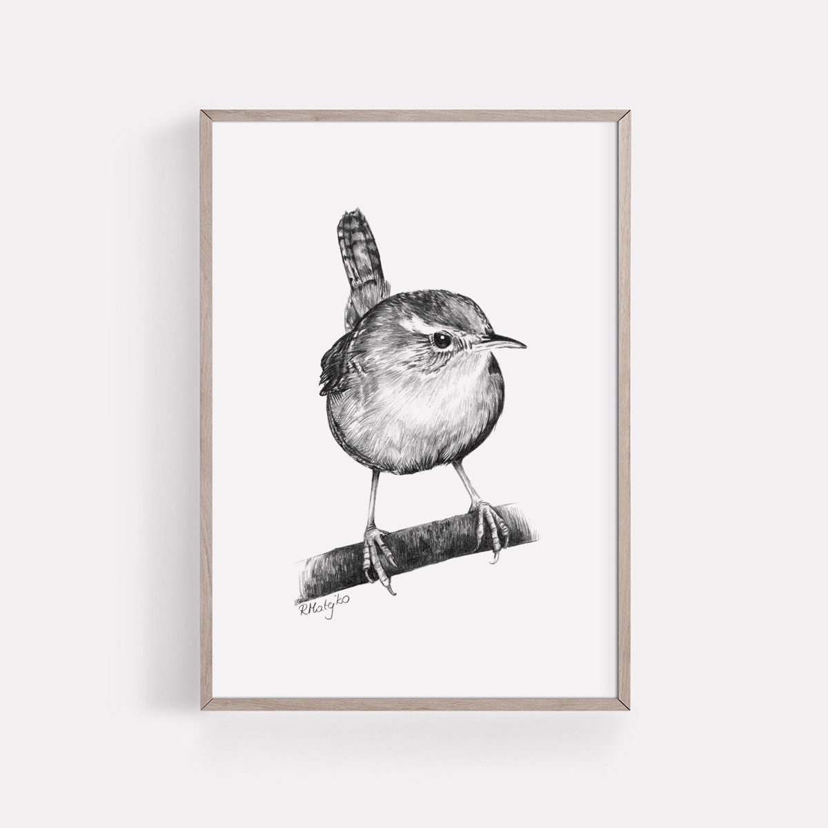 PRINTABLE Wren Art Print Wren Pencil Drawing Wall Art Garden - Etsy Canada