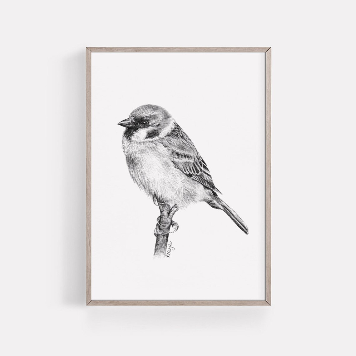 PRINTABLE Garden Birds Wall Art Print Set of 4 Graphite - Etsy