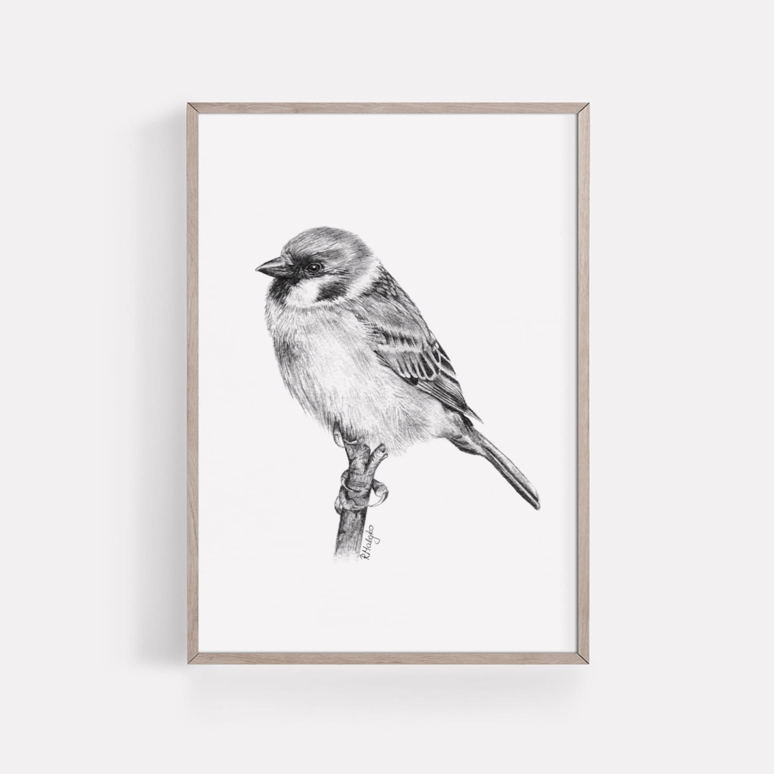 PRINTABLE Garden Birds Wall Art Print Set of 4, Graphite Pencil ...