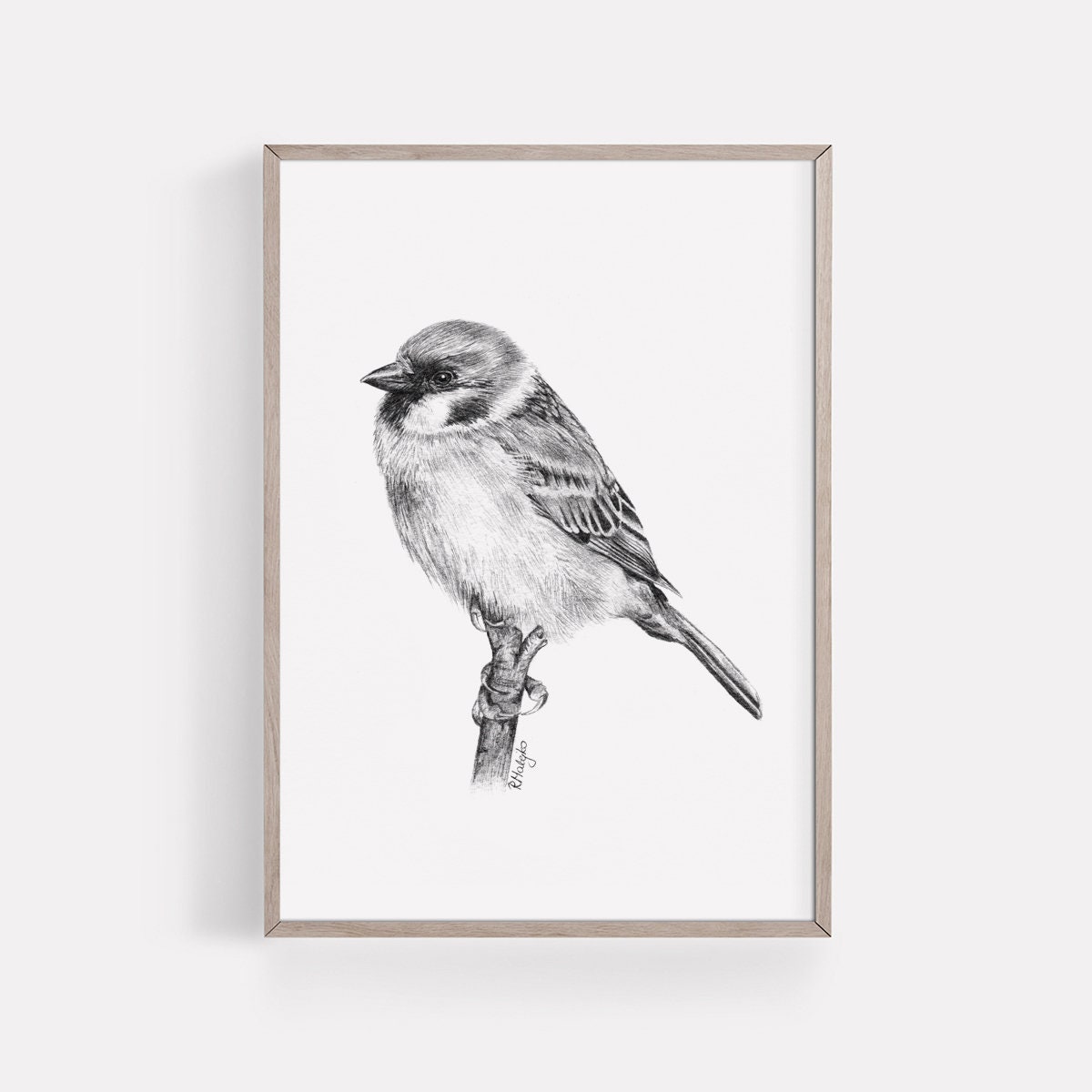 PRINTABLE Garden Birds Wall Art Print Set of 4 Graphite - Etsy