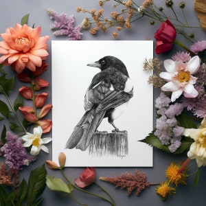 ORIGINAL Magpie Pencil Drawing, Corvid Bird Sketch, British Garden Bird ...