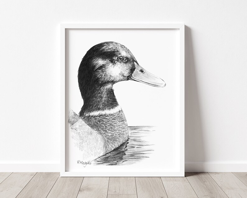PRINTABLE Mallard Duck Art Print Duck Pencil Drawing Wall - Etsy
