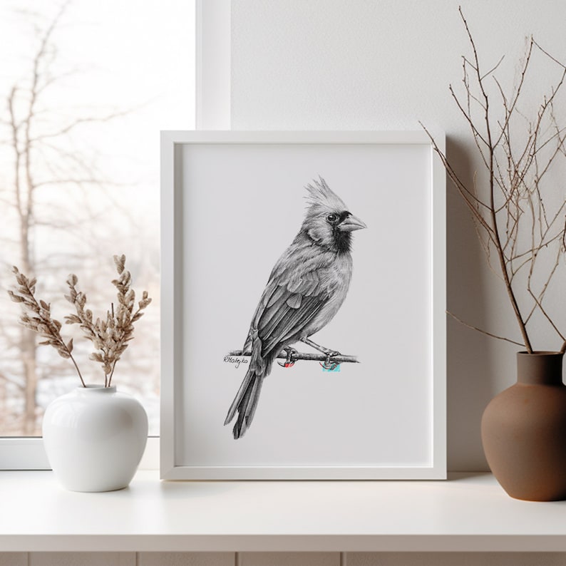 Cardinal Bird Art PRINT, Northern Cardinal Pencil Drawing Wall Art ...