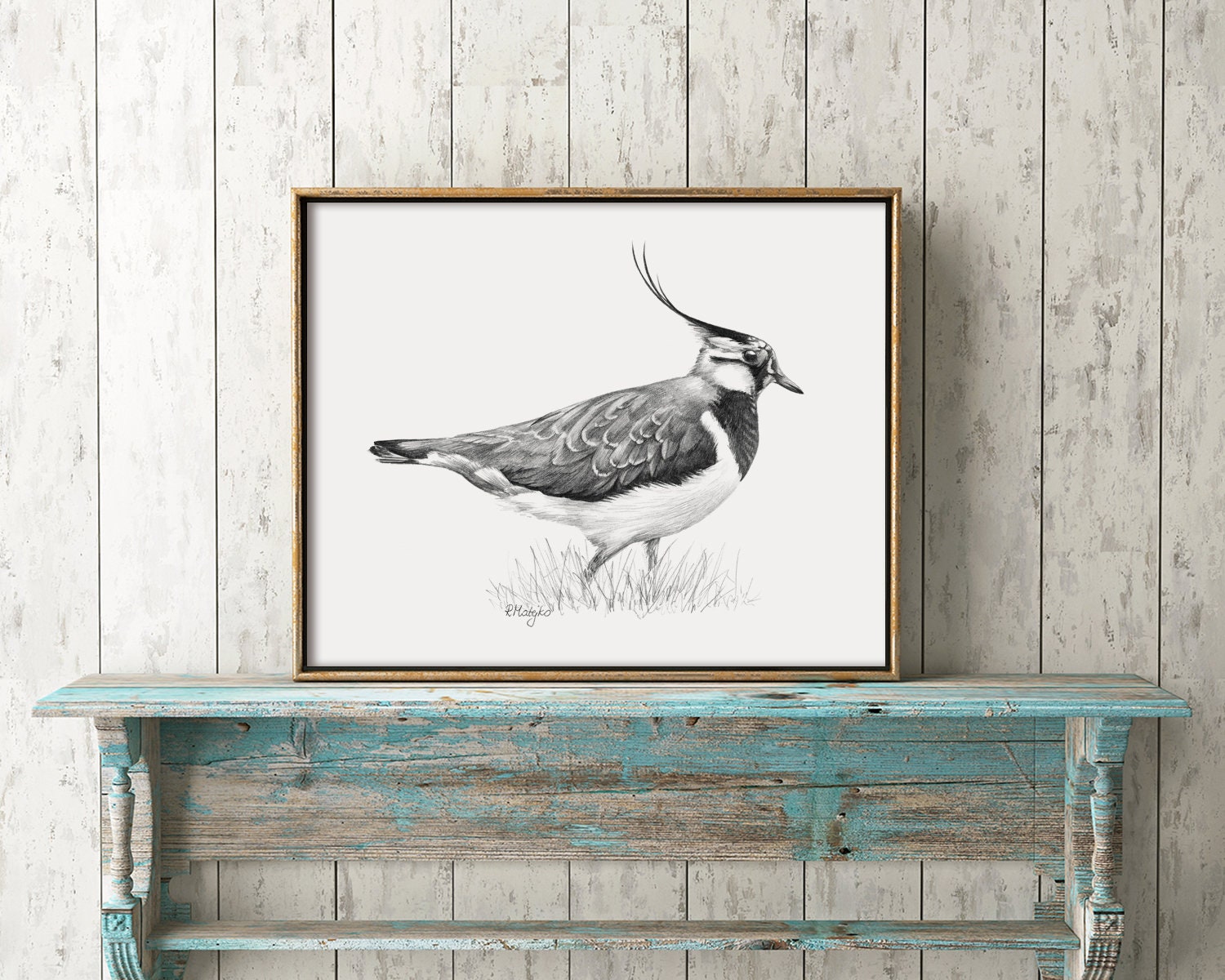 Lapwing Art PRINT, Lapwing Pencil Drawing, Wading Bird Sketch, Nature ...