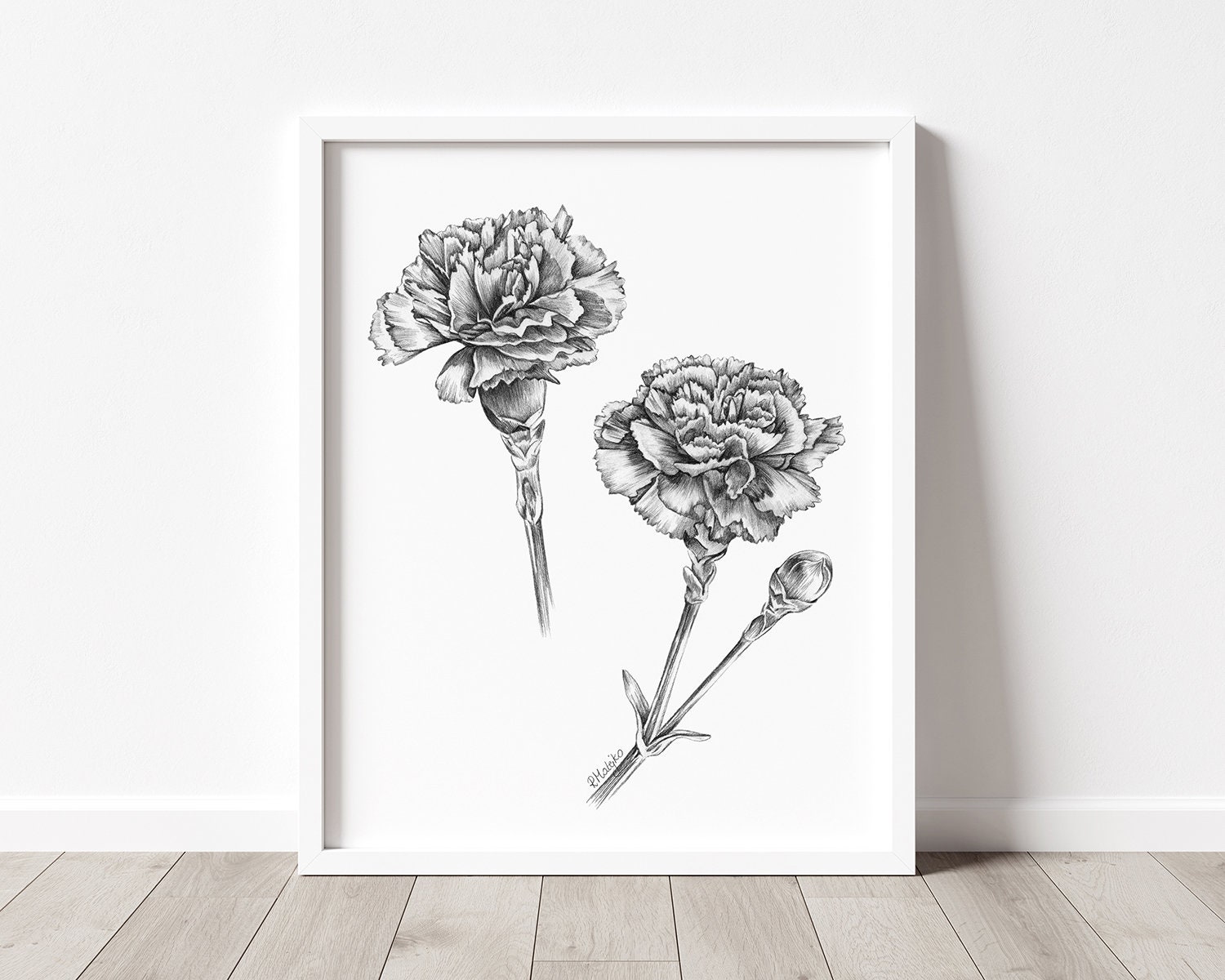 Carnation Flower Outline