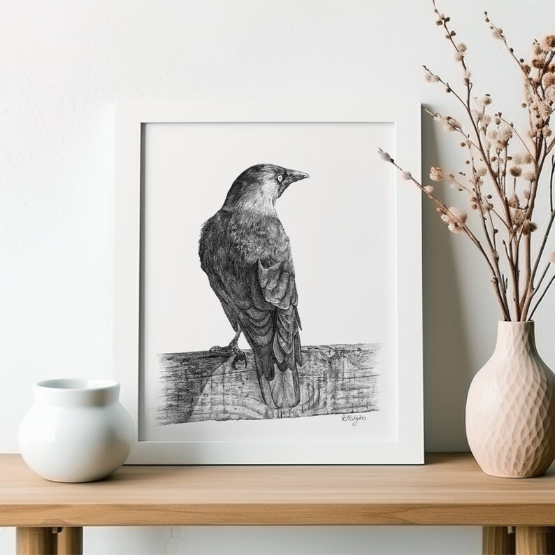 Jackdaw Art PRINT, Corvid Bird Pencil Drawing Wall Art, Wildlife Print ...