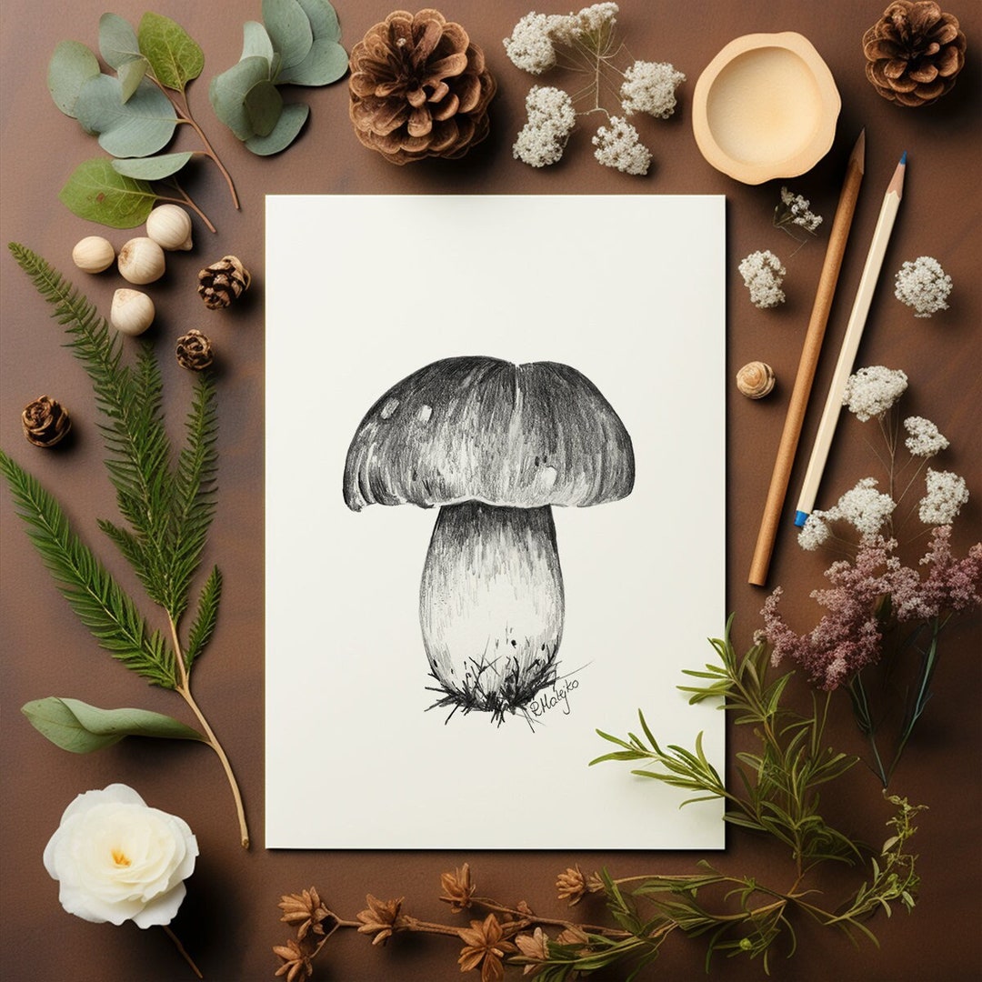 ORIGINAL Mushroom Pencil Drawing, Fungi Wall Art, Forest Woodland ...