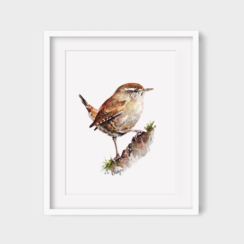 Wren Wall Art PRINT, Garden Bird, Jenny Wren, Bird Watching Gift ...