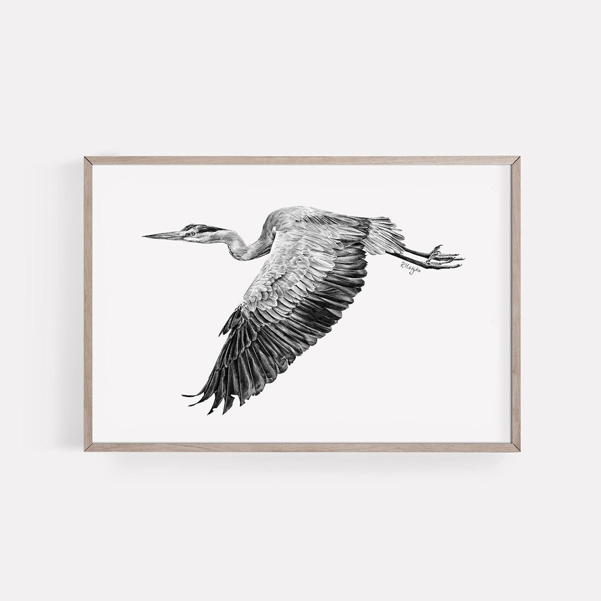 PRINTABLE Heron Art Print Great Blue Heron Pencil Drawing - Etsy