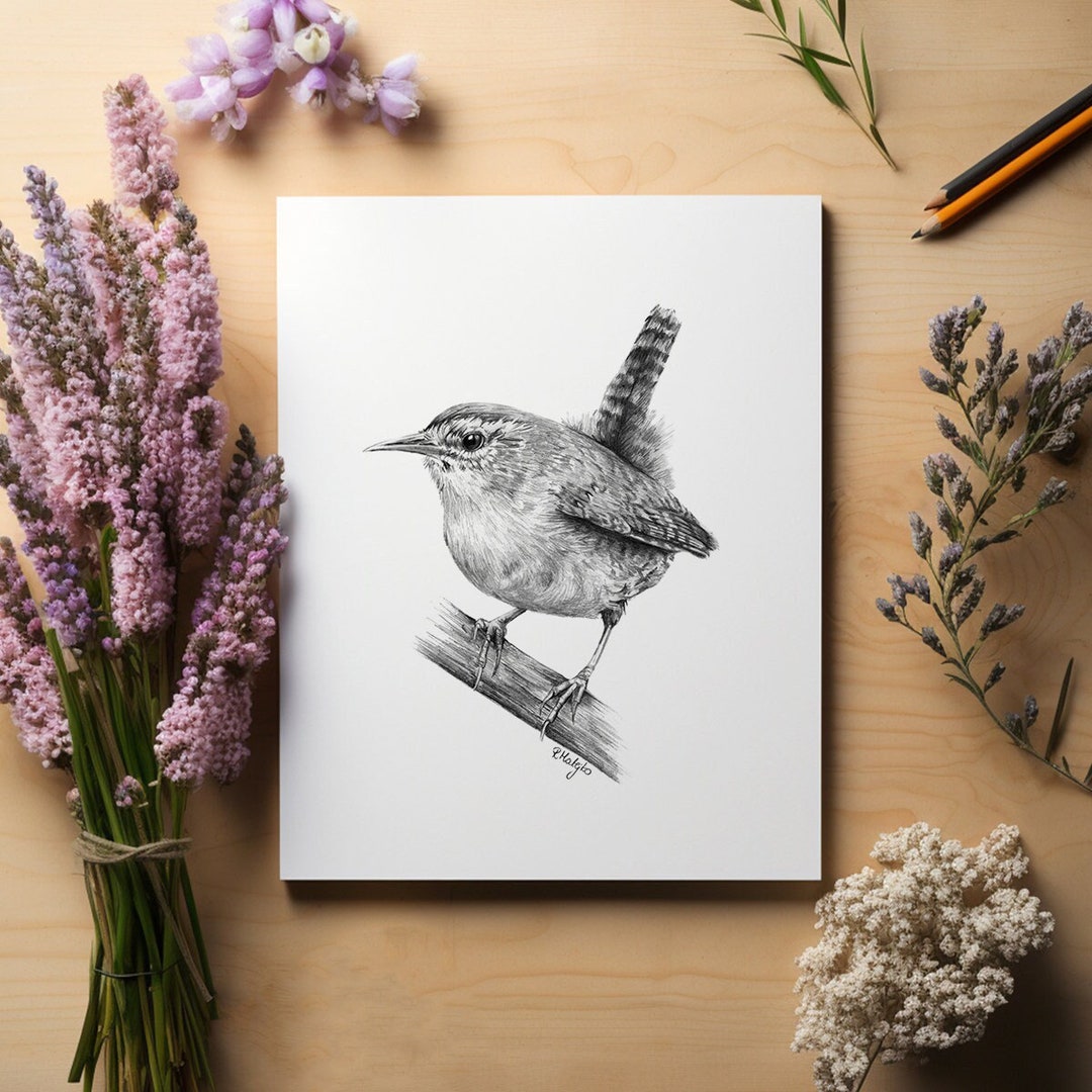 ORIGINAL Wren Pencil Drawing, Garden Bird Wall Art, Nature Farmhouse ...