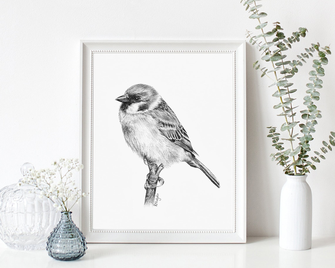PRINTABLE Sparrow Print Bird Drawing Wall Art Print Sparrow - Etsy