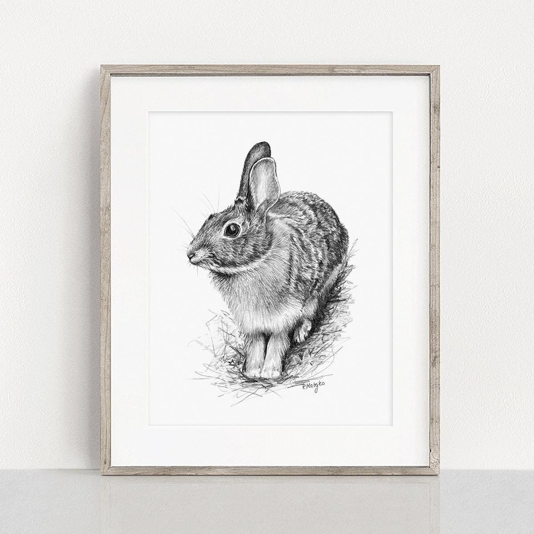 Rabbit Art PRINT, Pencil Drawing Wall Art, Wild British Woodland ...