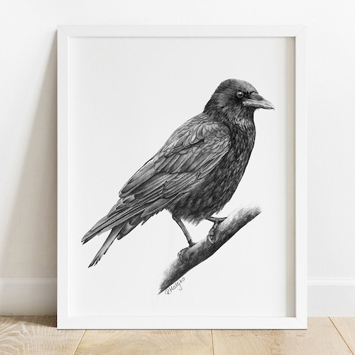 PRINTABLE Raven Art Print Bird Pencil Drawing Wall Art - Etsy