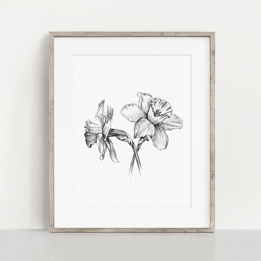 Daffodils Art PRINT, Flower Wall Art, Simple Modern Sketch, Print From ...