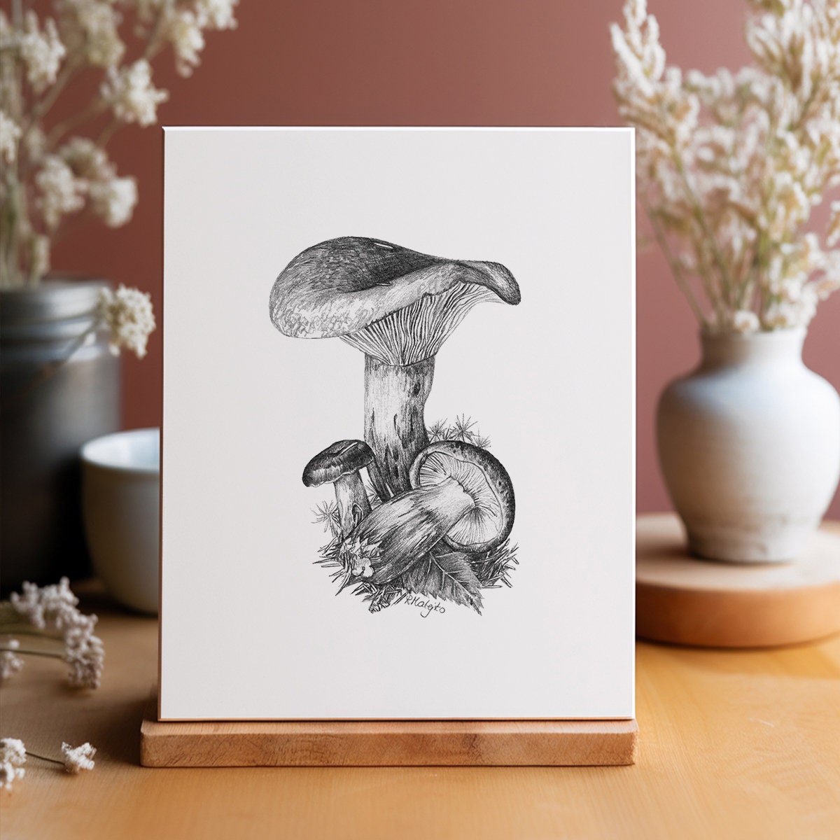 Mushrooms Pencil Drawings