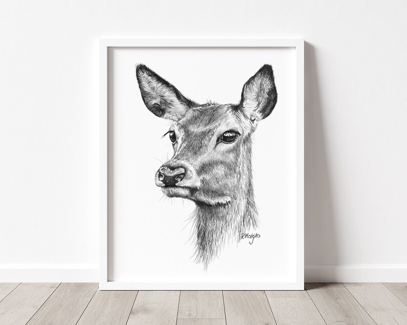 Deer Art PRINT, Red Deer Pencil Drawing Wall Art, Woodland Animal ...