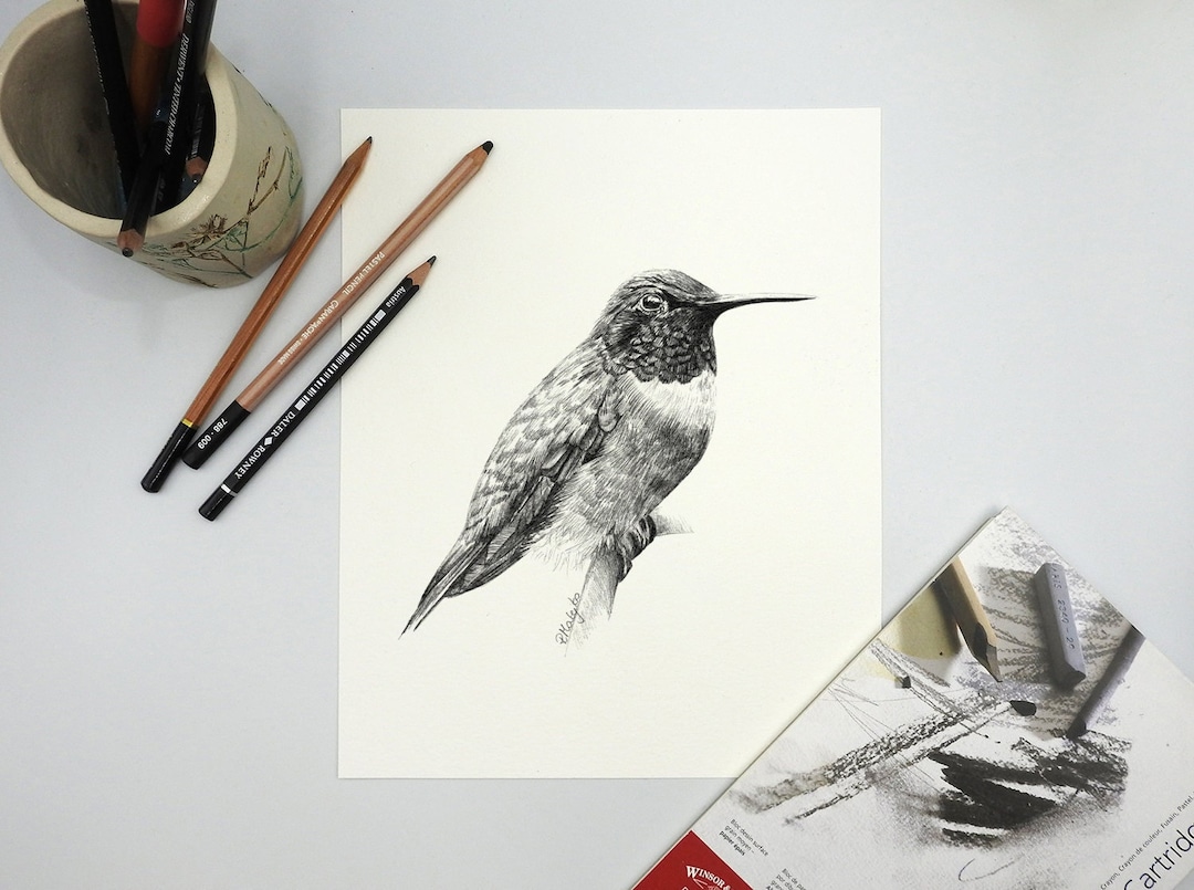 ORIGINAL Hummingbird Pencil Drawing Hummingbird Wall Art - Etsy