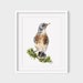 Fieldfare Art PRINT, Winter Bird Watercolour Painting Wall Art, British ...