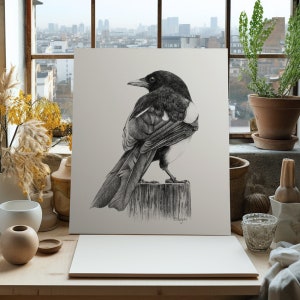 ORIGINAL Magpie Pencil Drawing, Corvid Bird Sketch, British Garden Bird ...