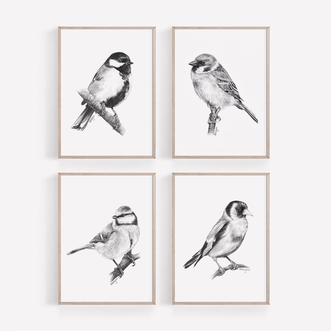 PRINTABLE Garden Birds Wall Art Print Set of 4, Graphite Pencil ...