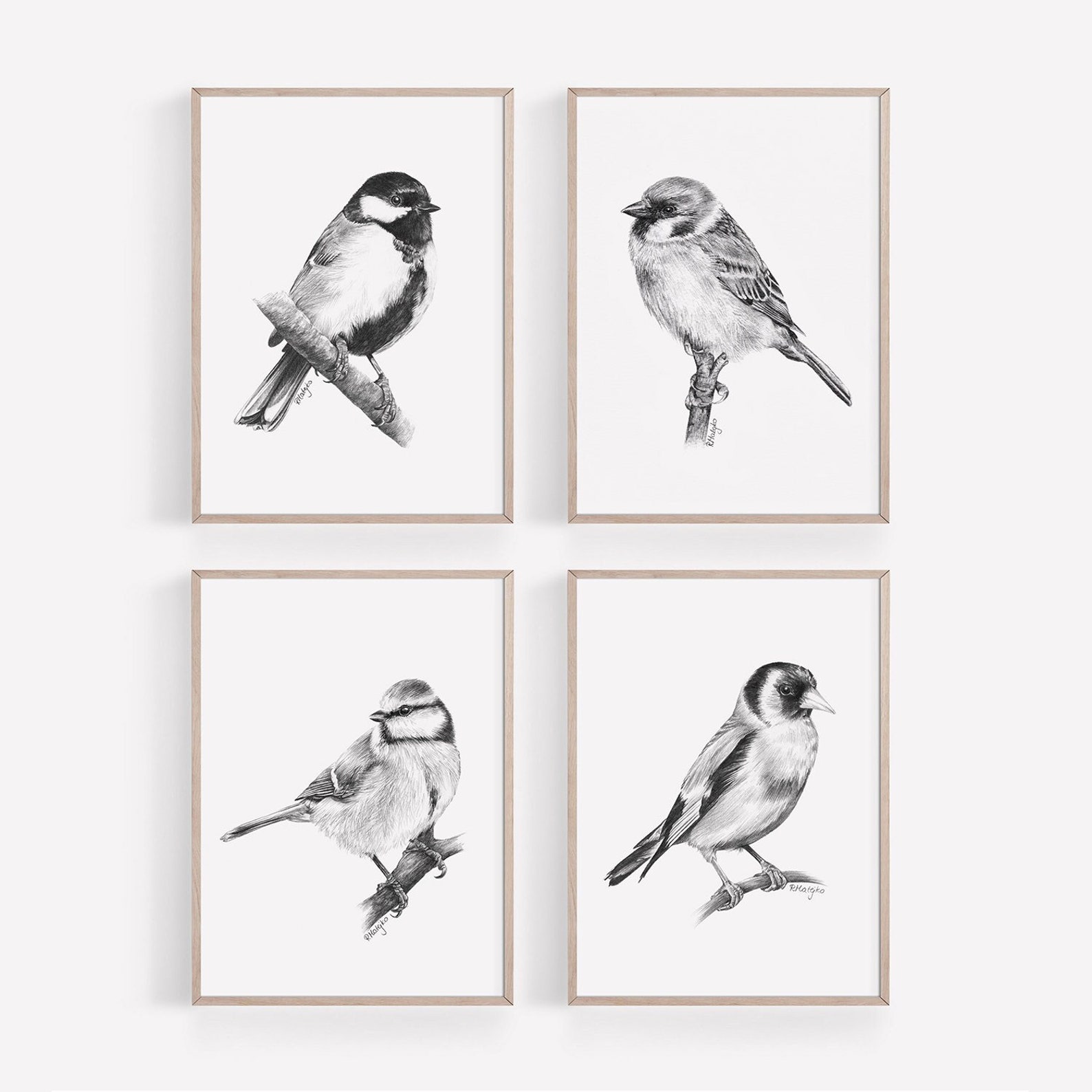PRINTABLE Garden Birds Wall Art Print Set of 4, Graphite Pencil ...