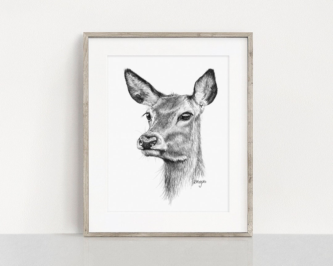 Deer Art PRINT Red Deer Pencil Drawing Wall Art Woodland - Etsy