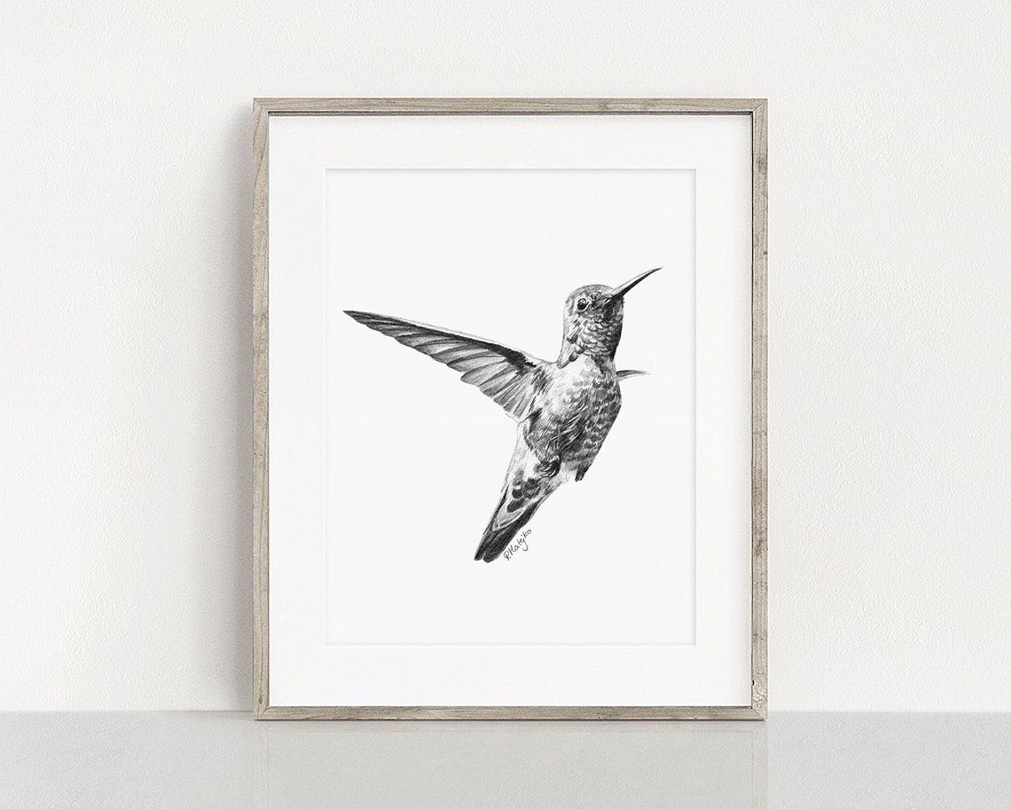 PRINTABLE Hummingbird Art Print, Hummingbird in Flight Pencil Drawing ...