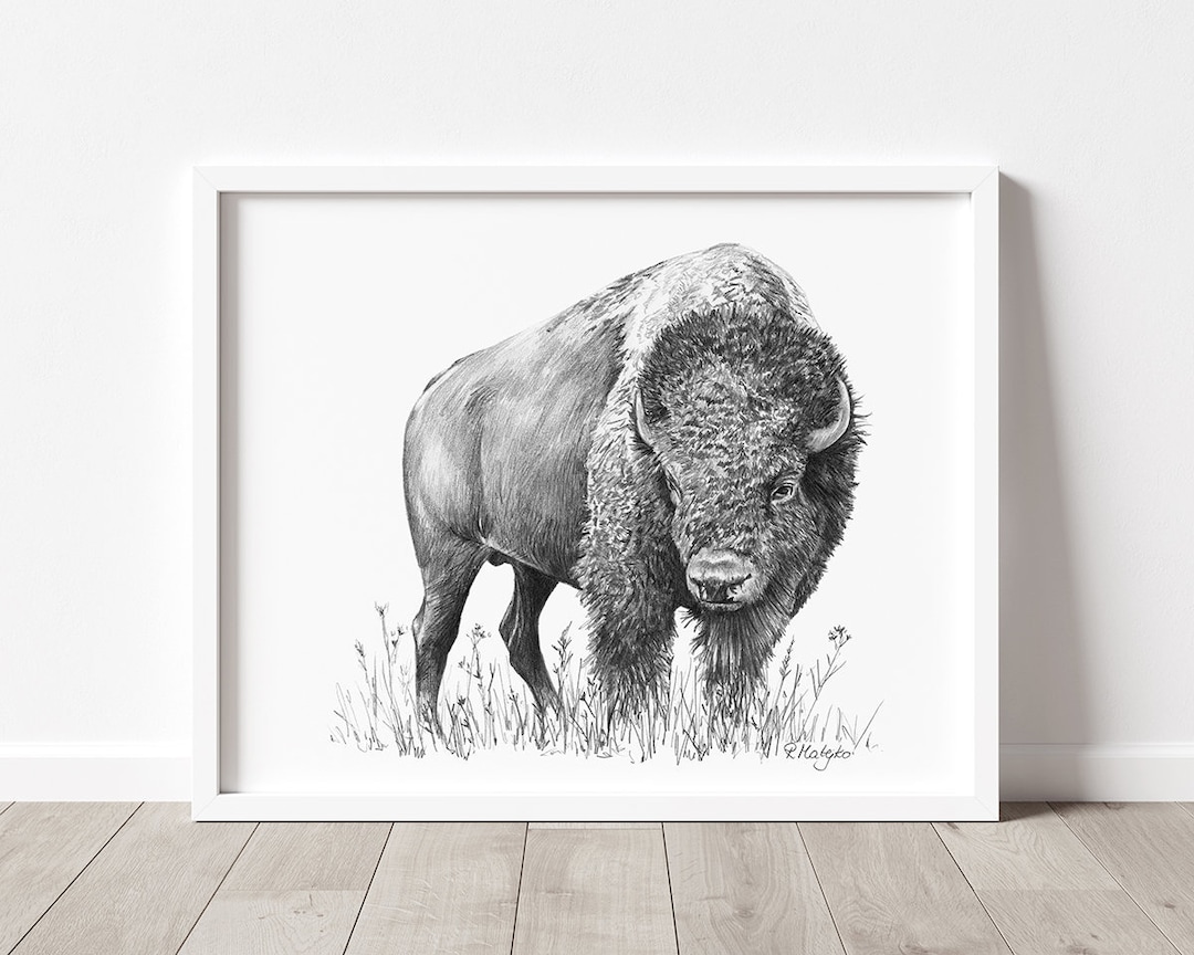 PRINTABLE Bison Print, Pencil Drawing American Buffalo Wall Art, Nature ...
