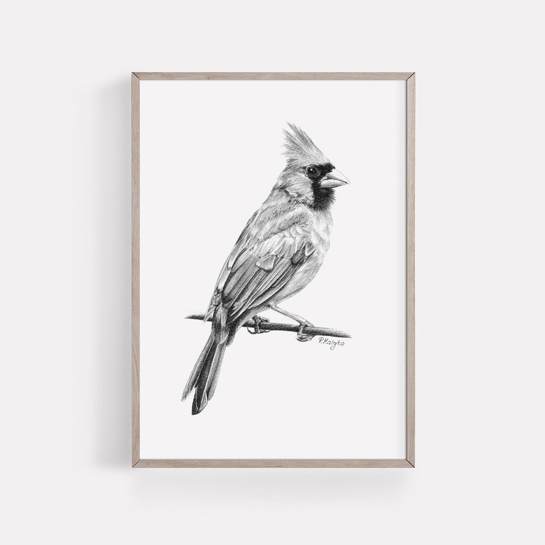 PRINTABLE Northern Cardinal Art Print, Red Cardinal Pencil Drawing Wall ...