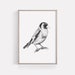 PRINTABLE Garden Birds Wall Art Print Set of 4, Graphite Pencil ...