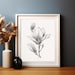 PRINTABLE Magnolia Art Print, Graphite Pencil Drawing, Botanical Wall ...
