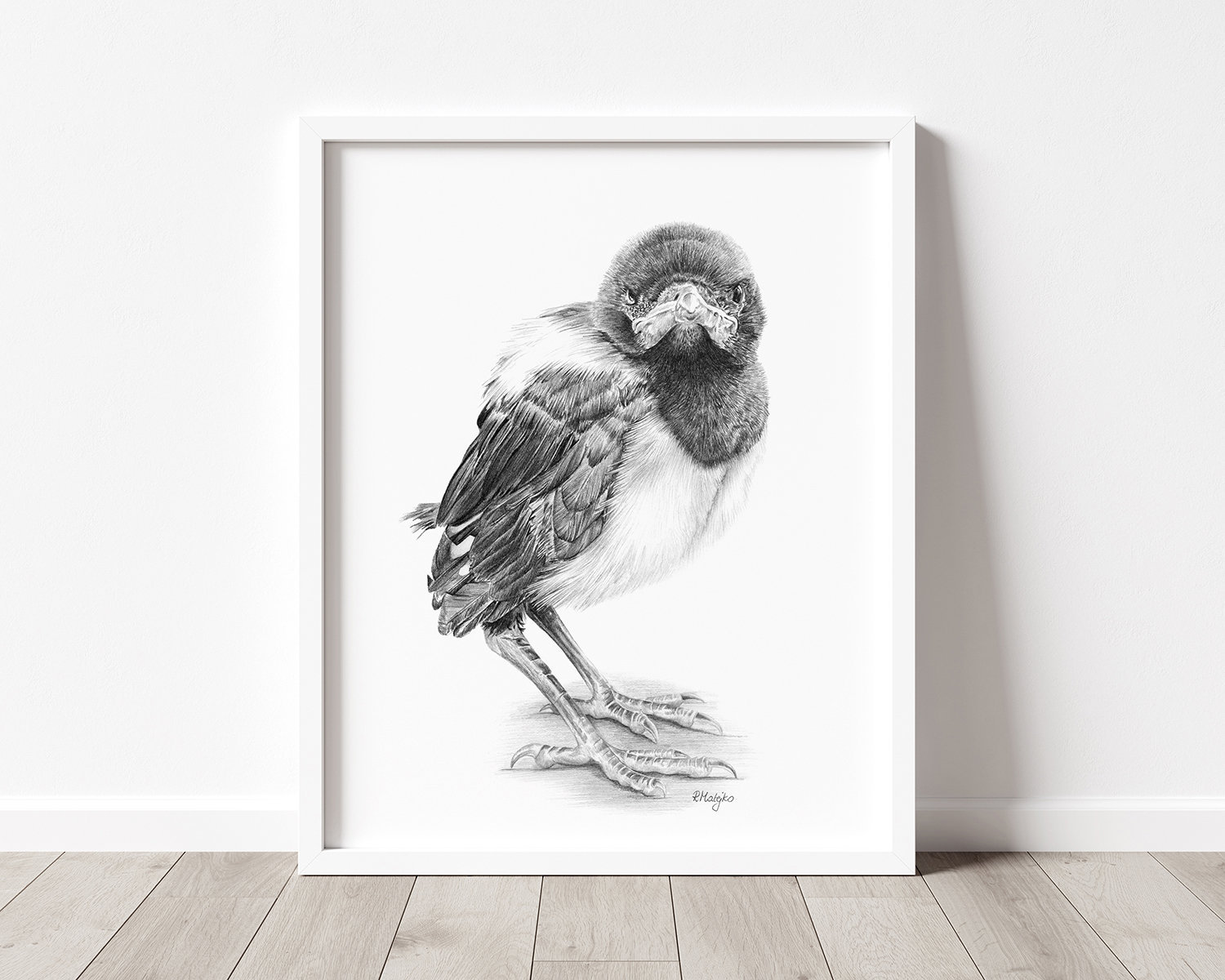 PRINTABLE Magpie Art Print Baby Magpie Pencil Drawing Corvid - Etsy ...