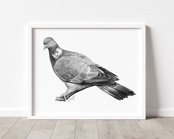 Pigeon Art