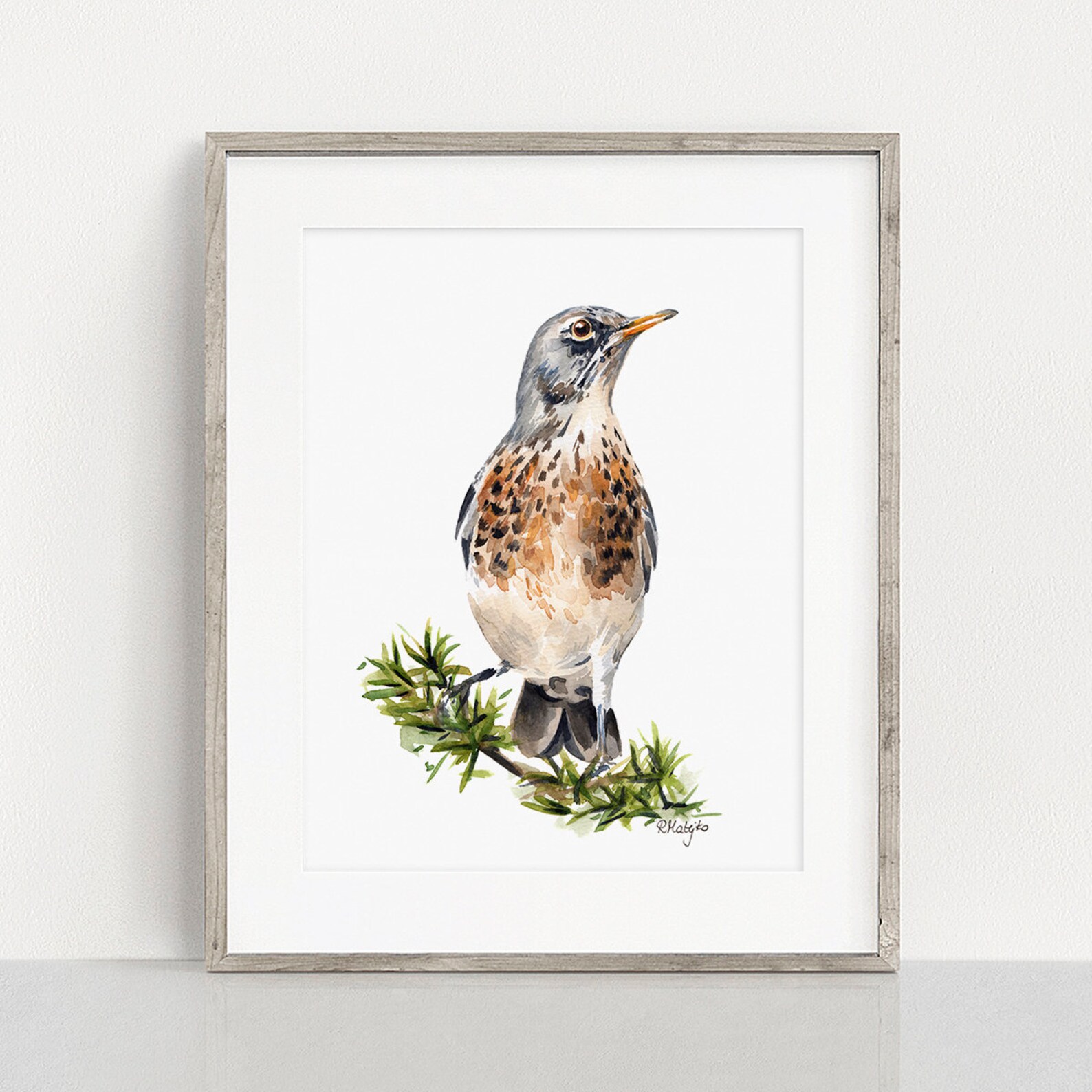 Fieldfare Art PRINT, Winter Bird Watercolour Painting Wall Art, British ...