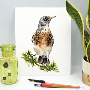 ORIGINAL Fieldfare Watercolor Painting, Bird Wall Art, Winter Bird ...