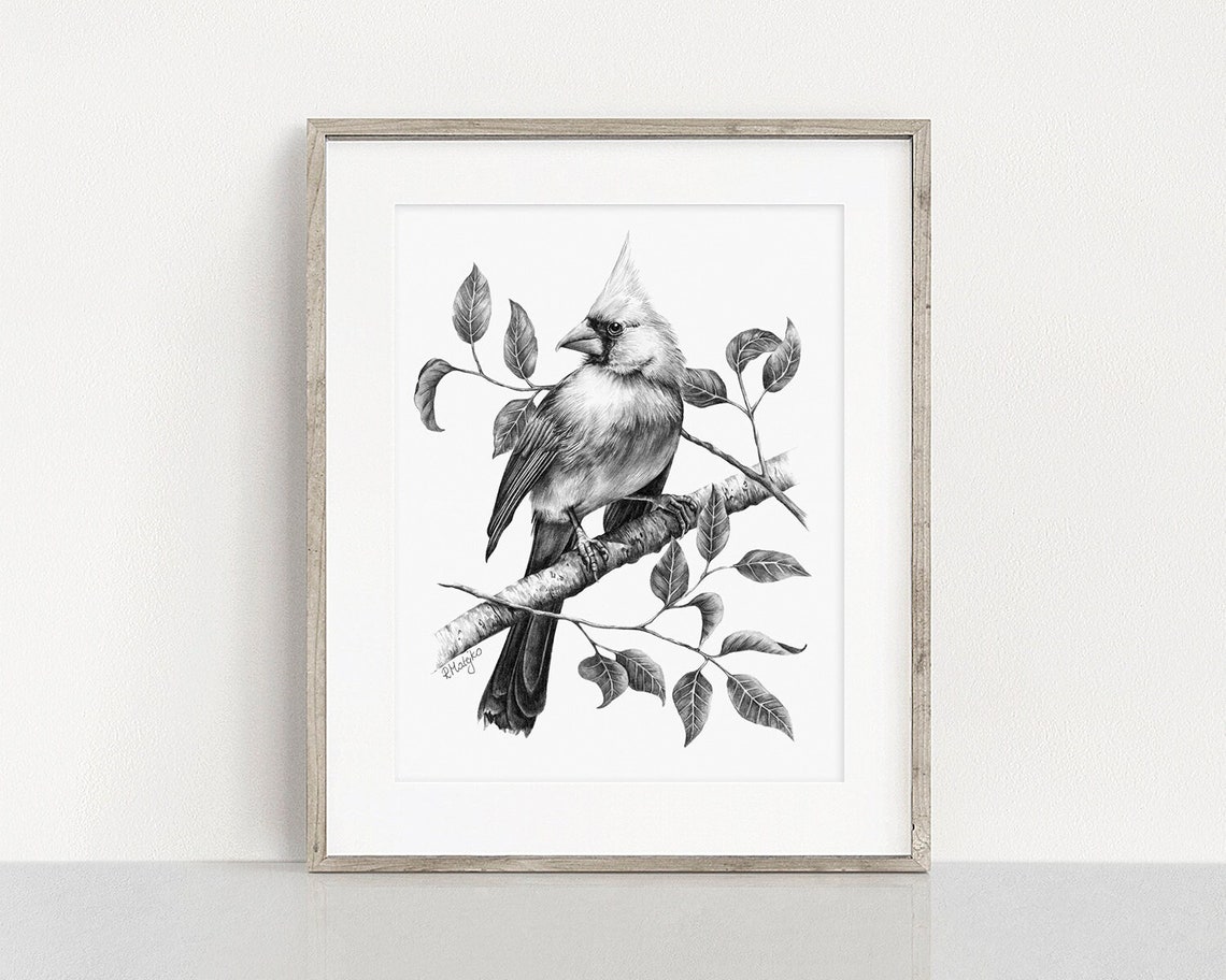 PRINTABLE Northern Cardinal Art Print Red Cardinal Pencil - Etsy