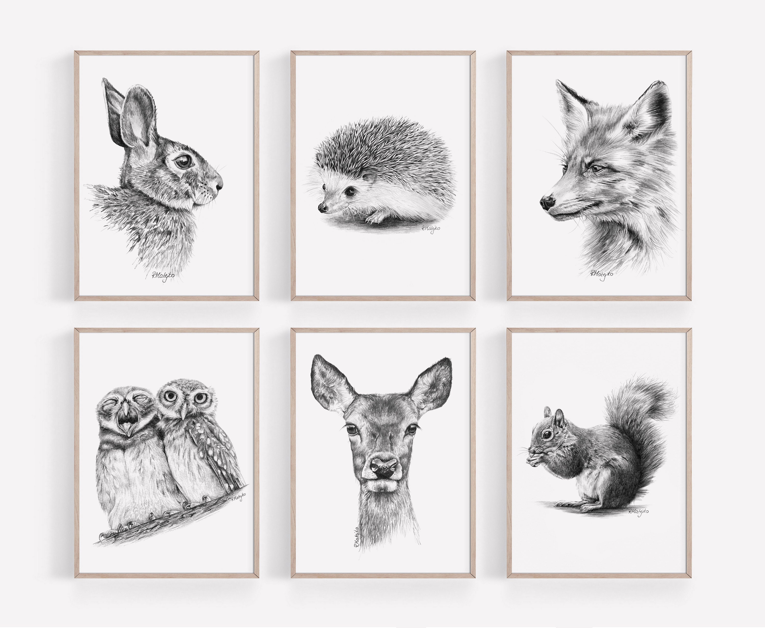 Pencil Sketch Of Animals