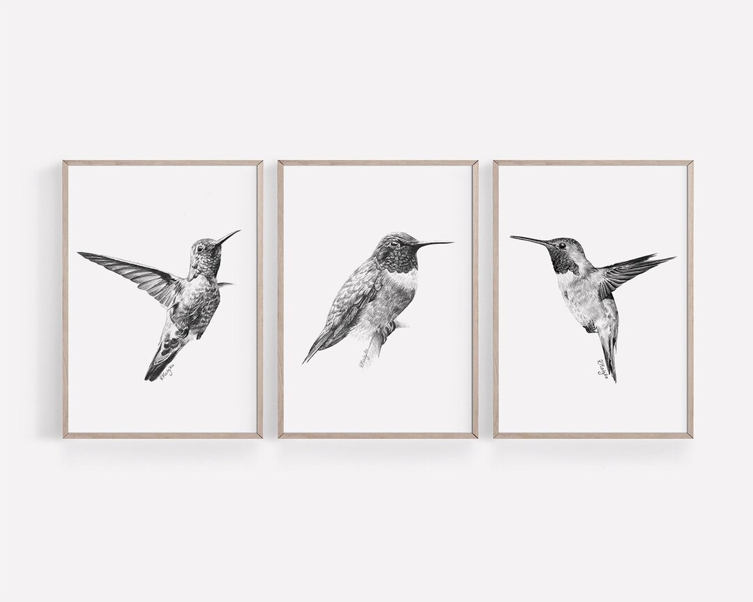 PRINTABLE Hummingbirds Art Print Set of 3, Hummingbirds Pencil Wall Art ...