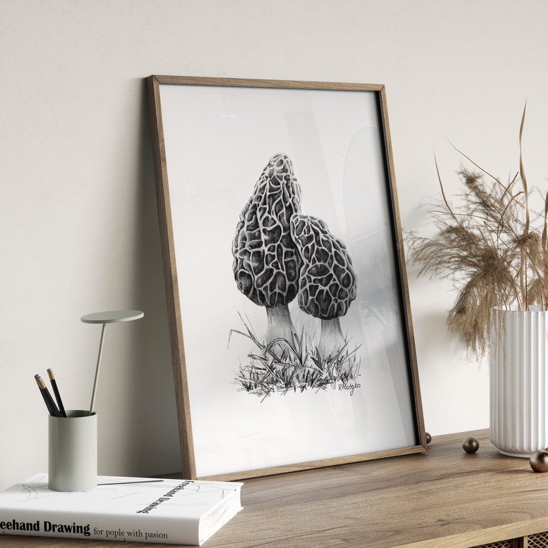 Morel Mushroom Art PRINT, Edible Fungi Pencil Drawing, Autumn Fall ...
