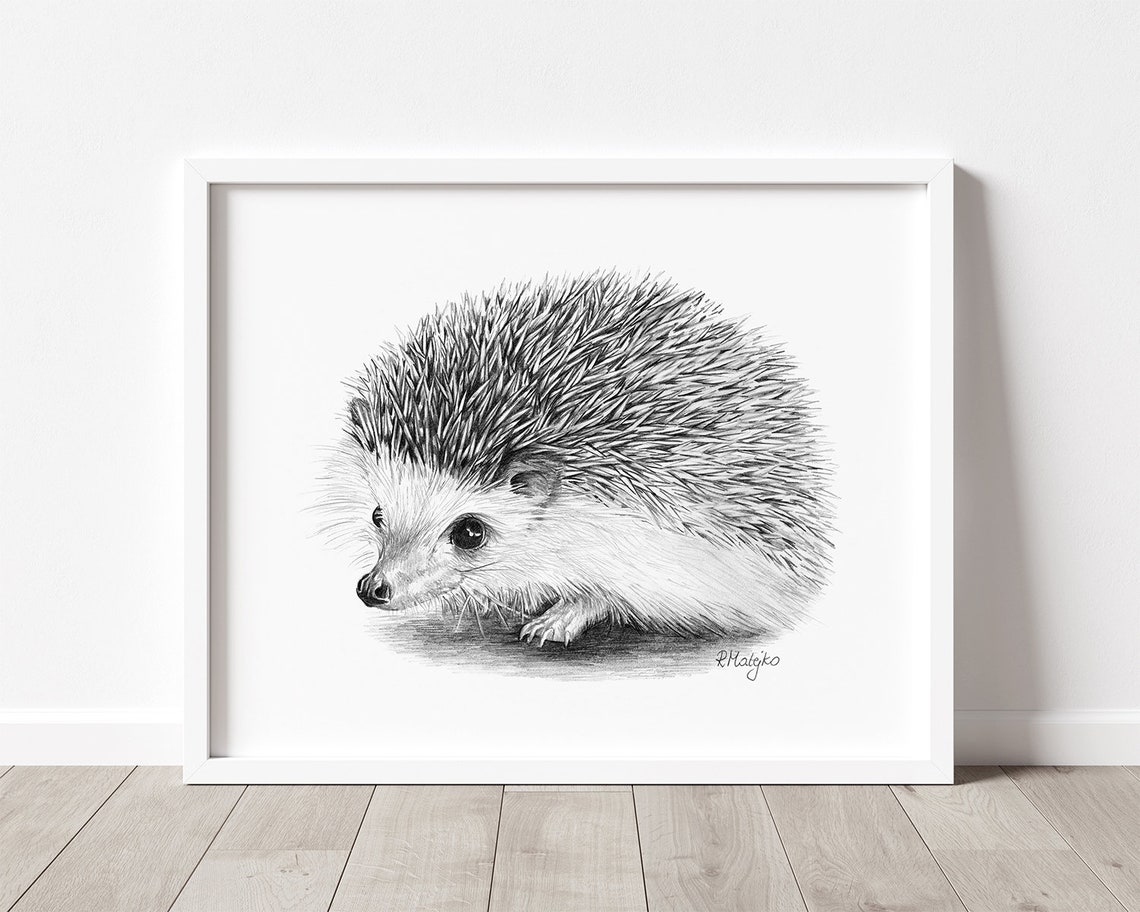 Hedgehog Art PRINT, Hedgehog Pencil Drawing Wall Art, Woodland Decor ...