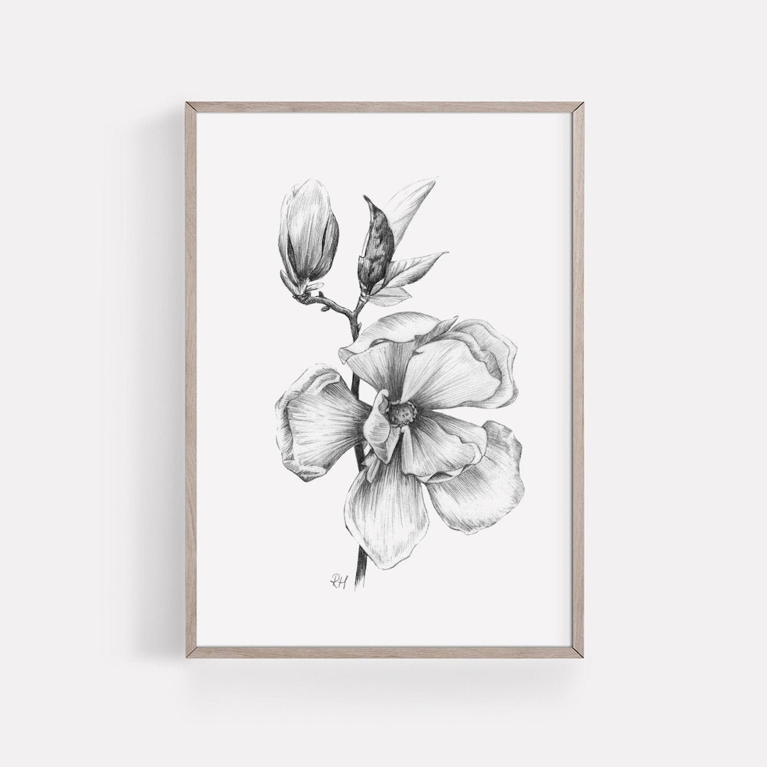 PRINTABLE Magnolia Art Print, Graphite Pencil Drawing, Botanical Wall ...